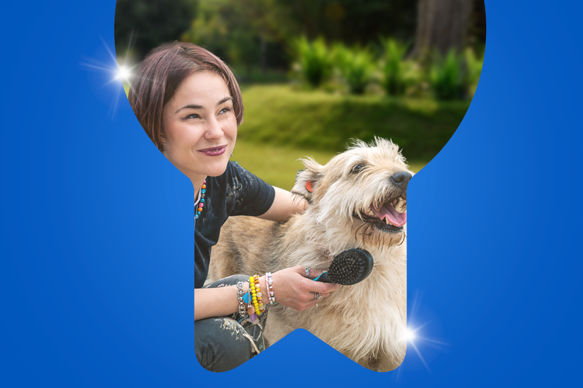 Curiosidades y Características de un Perro Criollo - GanadorColombia